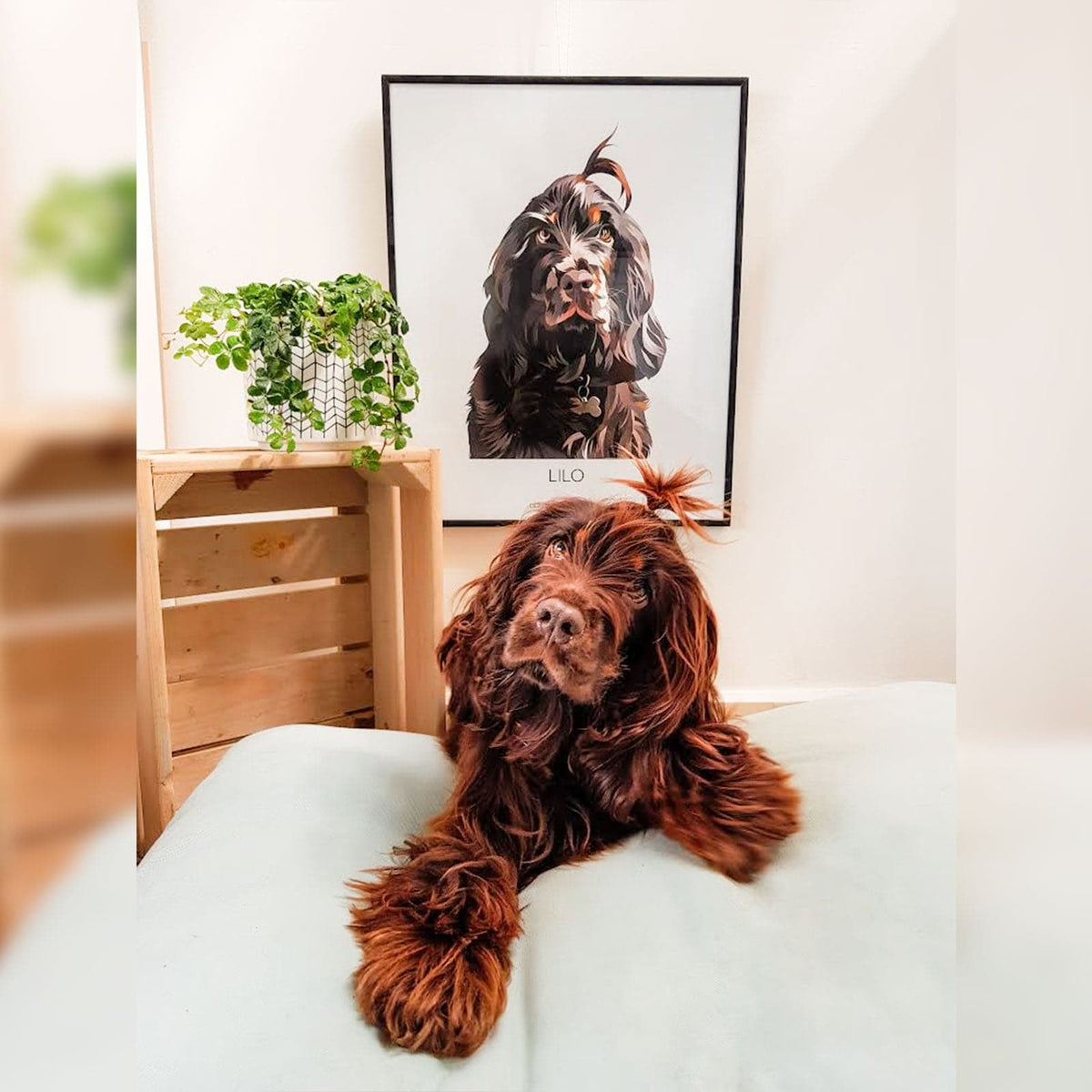 Create Your Own Pet Frame - Realistic - Poster without frame – My Pet ...